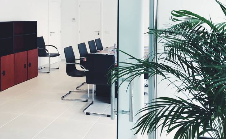 Reverence Hotels’s Mice in Mallorca Official Website